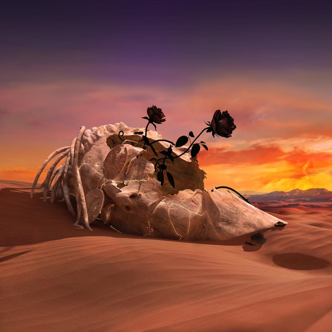 Madd : son premier album "Black Rose" - Trente Trois Degrés